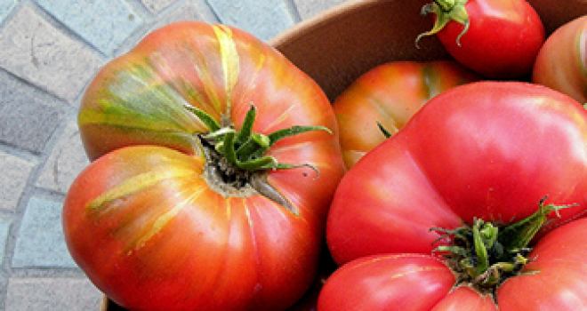 Toscano's - QUALITY FRUITERERS - Kew/Richmond/Toorak