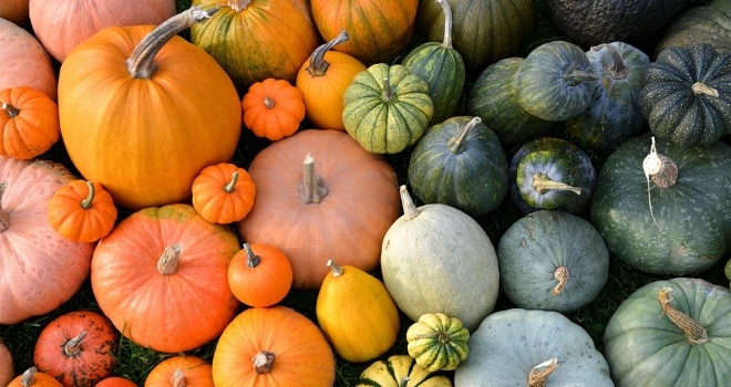 Toscano's - QUALITY FRUITERERS - Kew/Richmond/Toorak